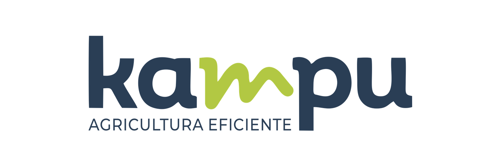 CLEARSOL DF Herbicida Selectivo para girasoles 2x600g - Kampu S.R.L